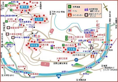 Daruma Pilgrims in Japan: Yoshino in Nara