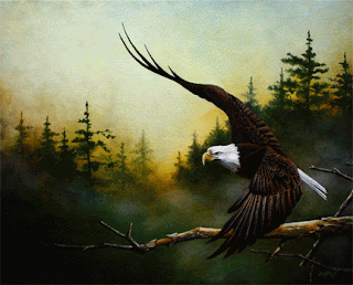 Broken Road Studio: American Bald Eagle Painting Finished