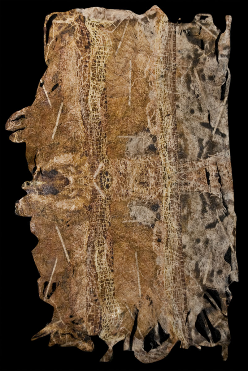 Kathyanne White: Amate Bark Print Textures