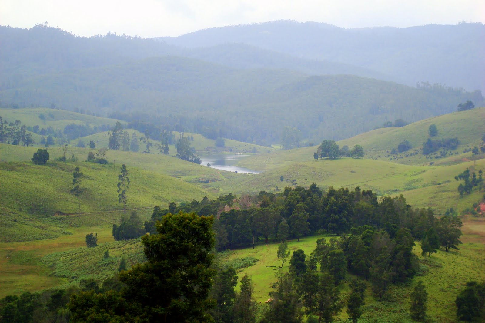 Mannavanur Lake - lost somewhere near Kodaikanal ~ Travel In Home