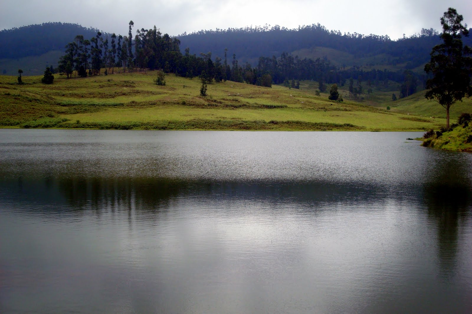 Mannavanur Lake - lost somewhere near Kodaikanal - Lakshmi Sharath