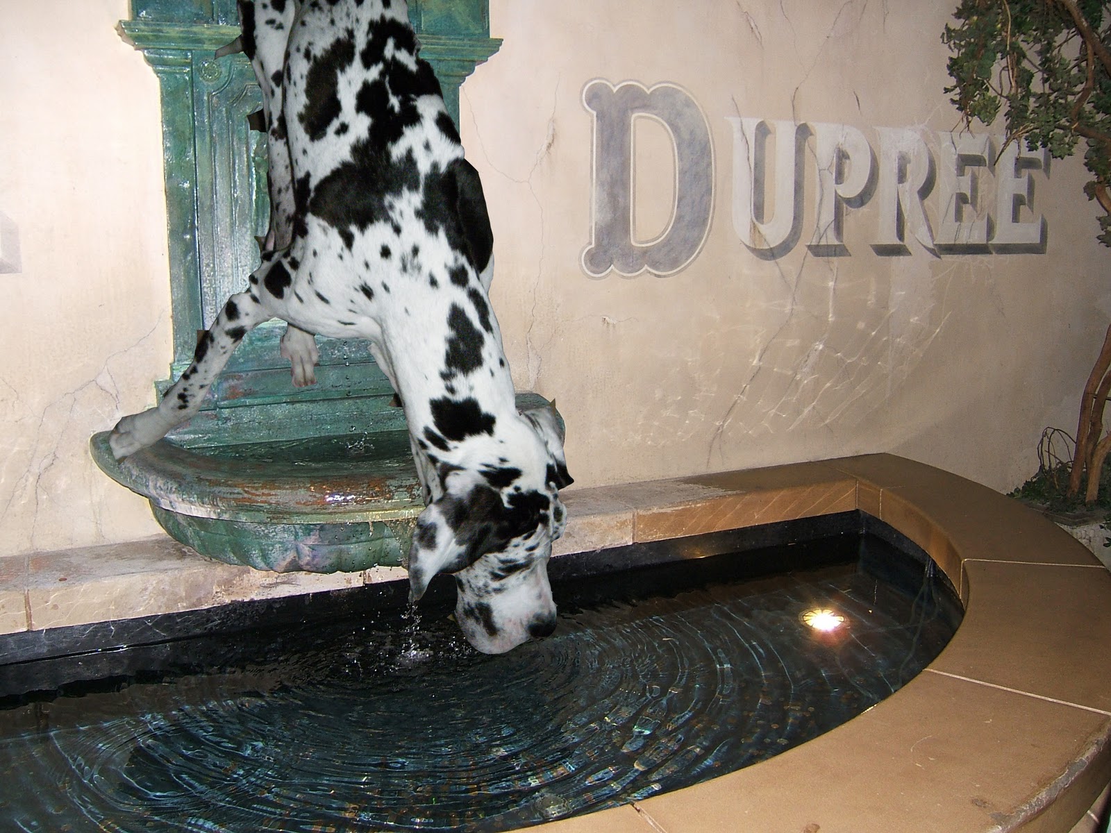 Tucker: Corbin and Tucker go to Vegas