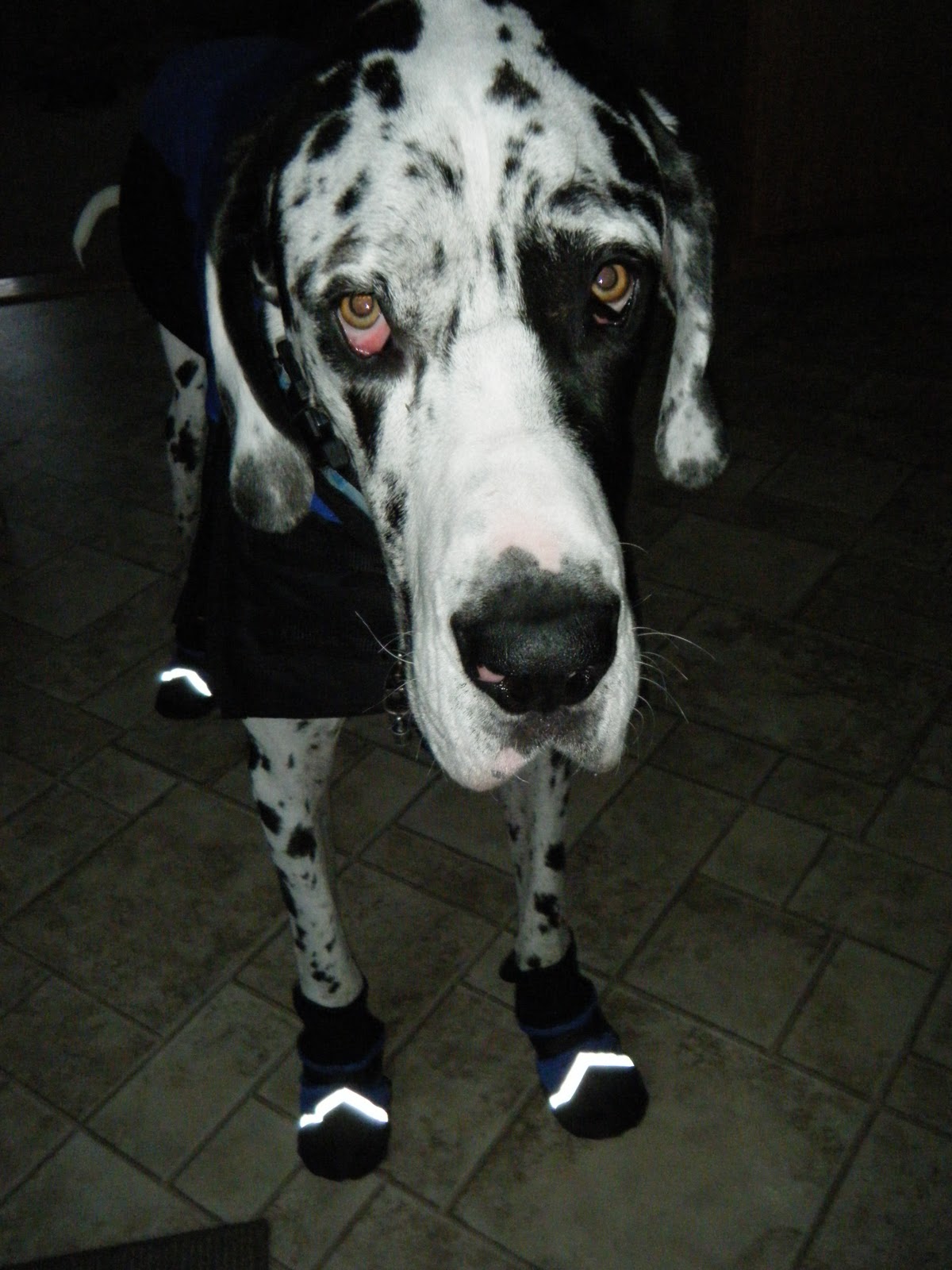 Tucker: Corbin and Tucker go to Vegas