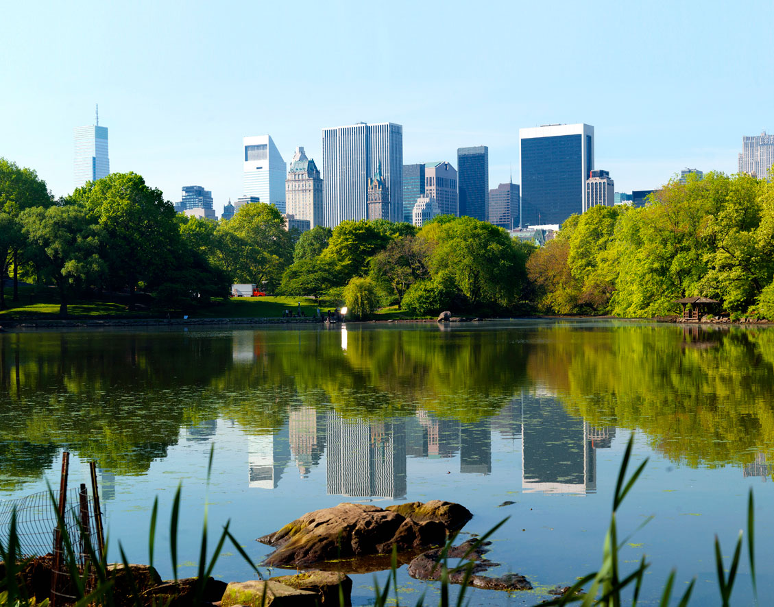 Raphaella Spence: Hyperrealism