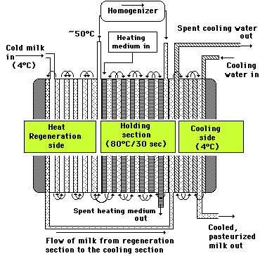 Venkatesh's Blog: Pasteurization of Milk.