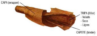 Sabores y Viajes: Anatomia del Cigarro