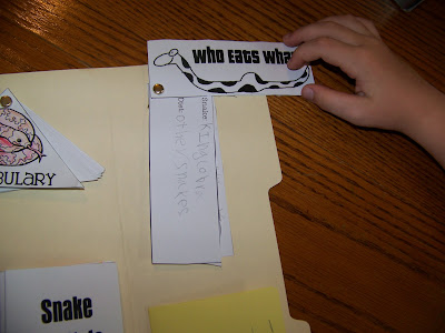 This Side UP: Snake Lapbook