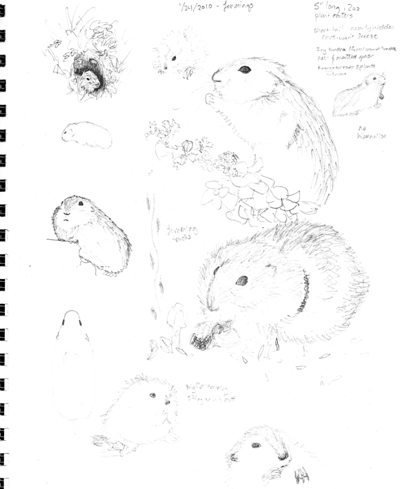 Inky Phalangies Thoughts: The Lemmings are coming