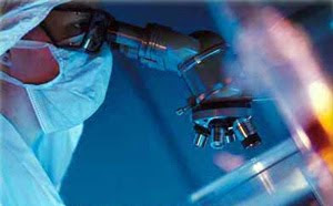 Paso a paso en Bacteriología: Por qué estudiar Bacteriología?