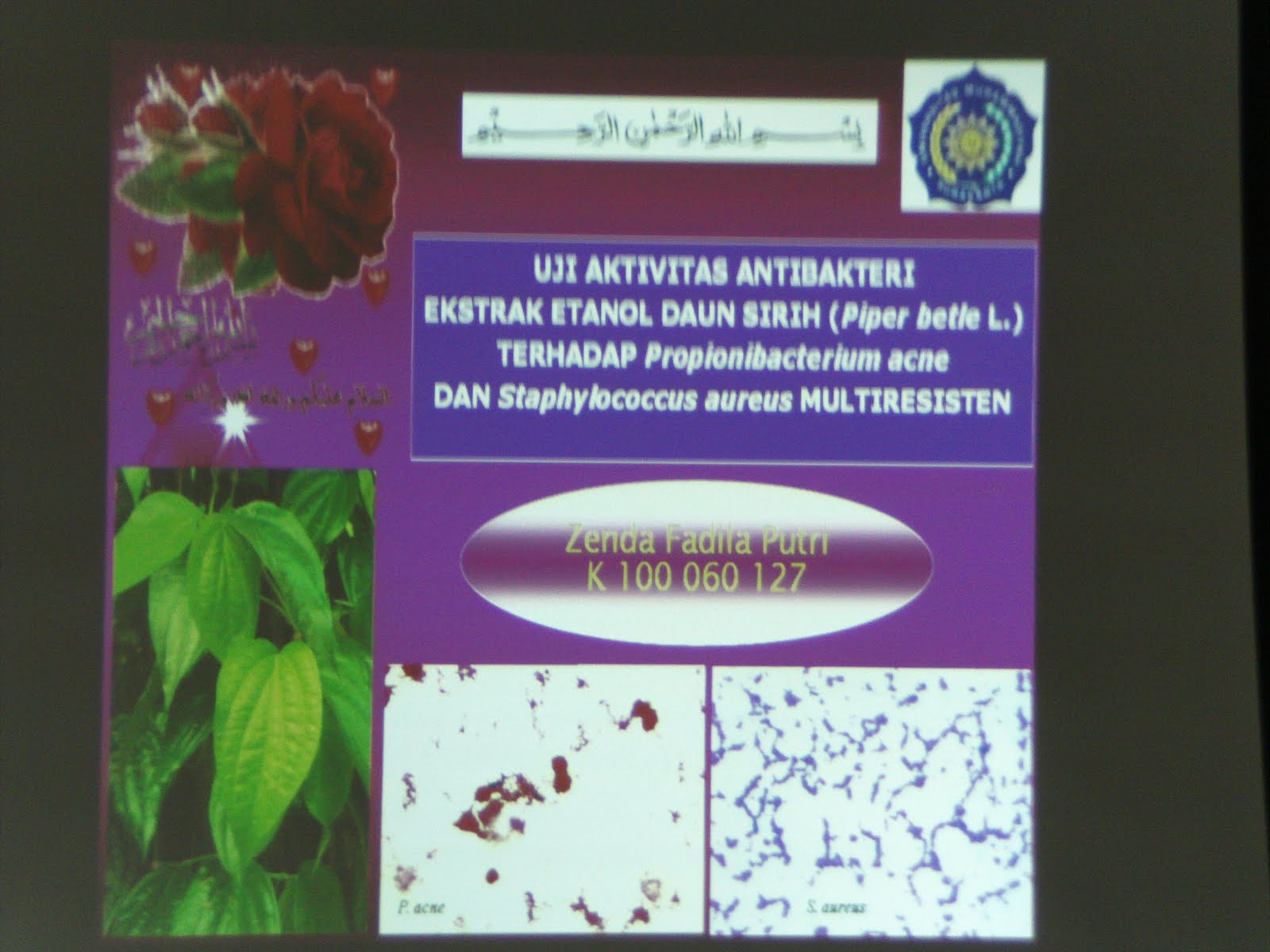 Zeyla Azzahra: UJI AKTIVITAS ANTIBAKTERI EKSTRAK ETANOL DAUN SIRIH ...