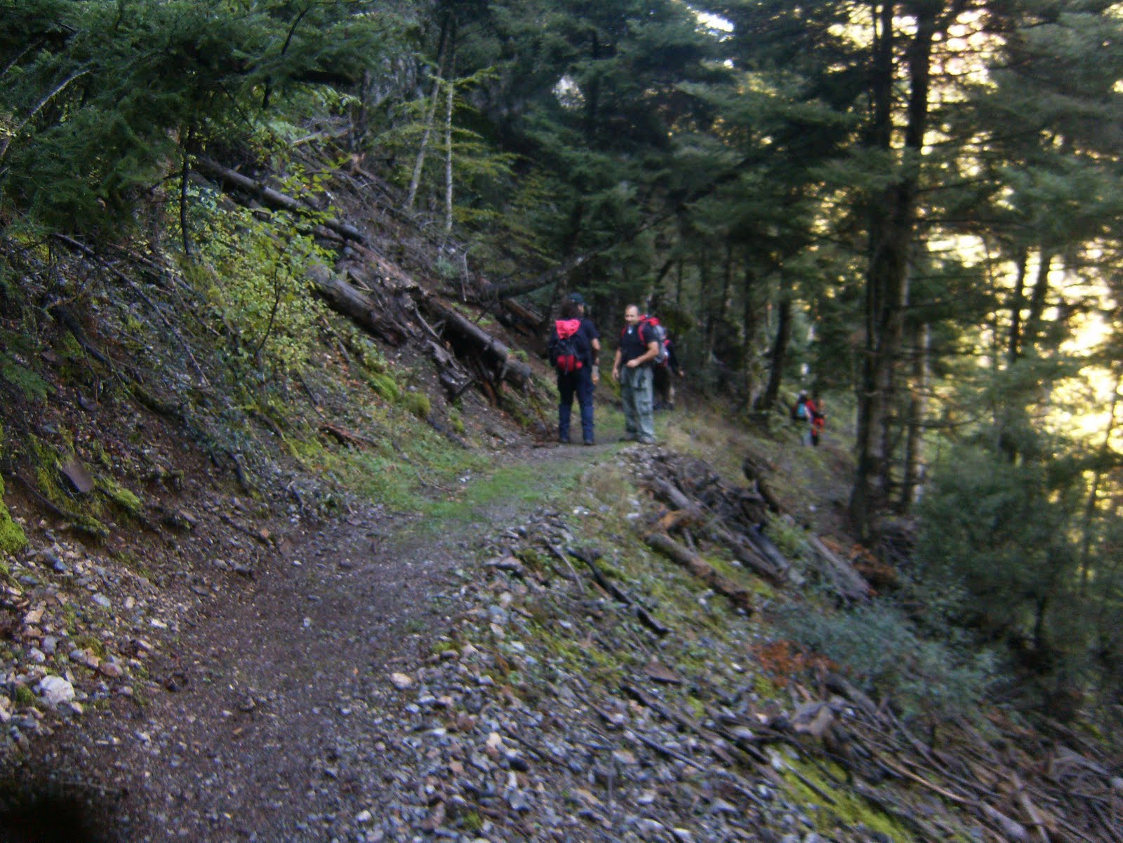 ΤΑ ΜΟΝΟΠΑΤΙΑ ΤΗΣ ΕΛΛΑΔΑΣ: ΜΟΝΗ ΚΕΡΝΙΤΣΗΣ -ΜΑΓΟΥΛΙΑΝΝΑ
