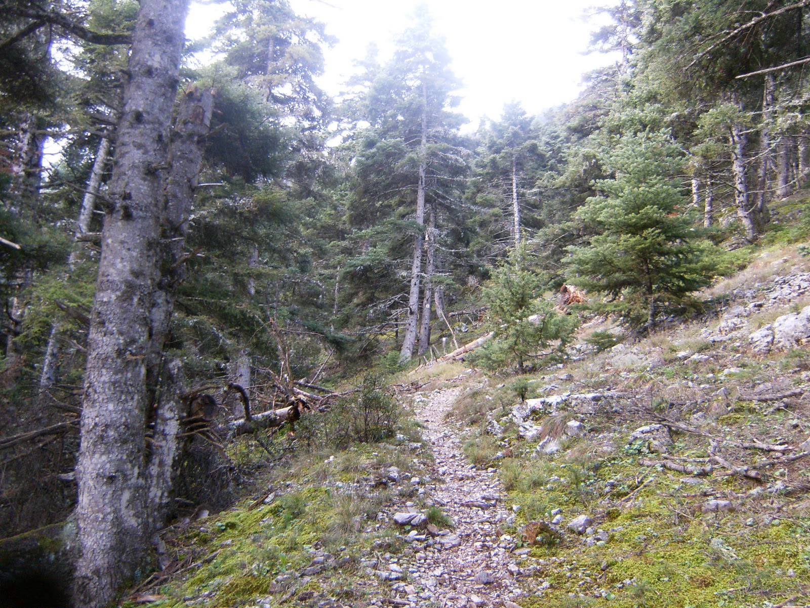 ΤΑ ΜΟΝΟΠΑΤΙΑ ΤΗΣ ΕΛΛΑΔΑΣ: ΜΟΝΟΠΑΤΙ "ΚΑΡΔΑΡΑΣ -ΡΟΕΙΝΟ"