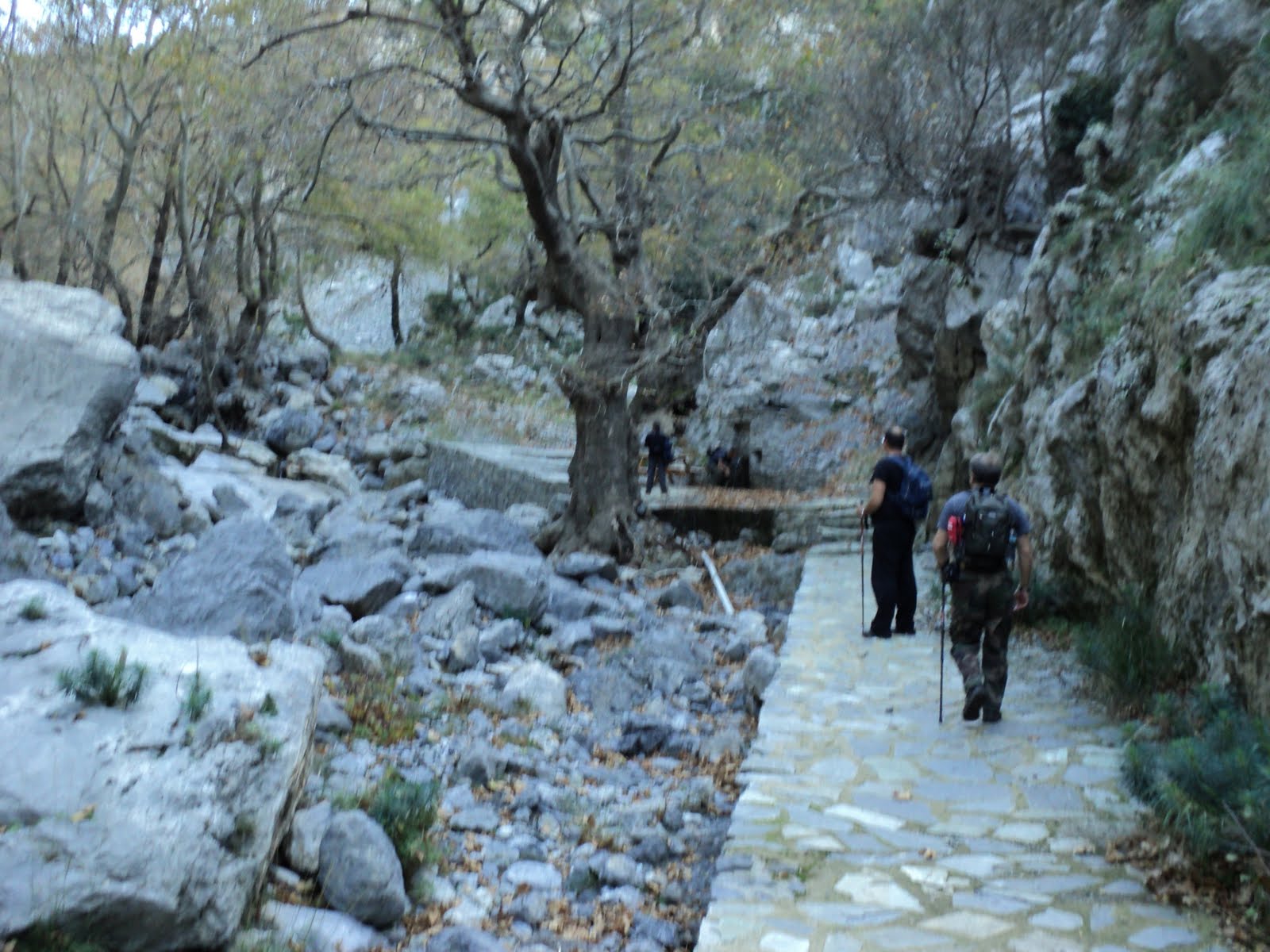 ΤΑ ΜΟΝΟΠΑΤΙΑ ΤΗΣ ΕΛΛΑΔΑΣ: ΦΑΡΑΓΓΙ ΔΙΡΦΥΣ (ΕΥΒΟΙΑ)
