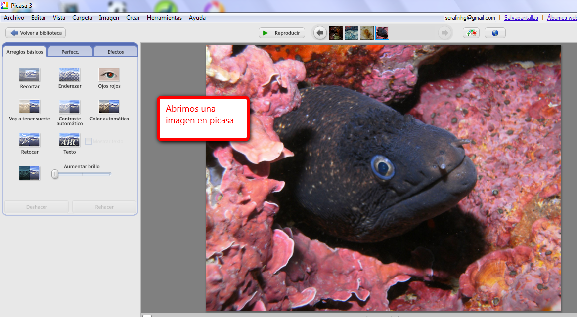 Aula Hospital de Leganés: EDITAR FOTOS CON PICASA