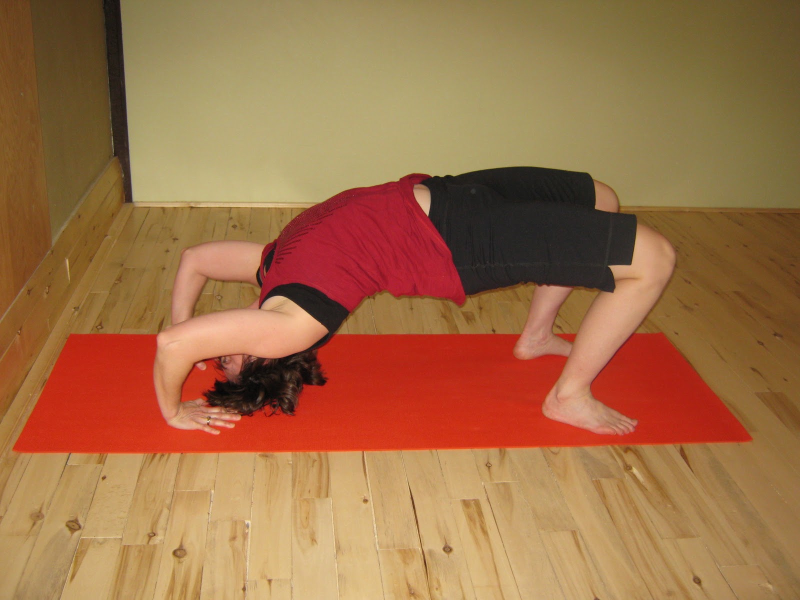 PLN Yoga Studio - Pamela Nelson: February - Pose of the Month - Dwi ...