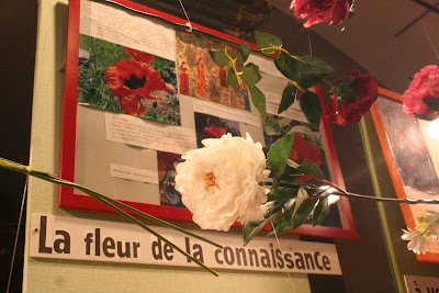 Béatrice De: LA FLEUR DE LA CONNAISSANCE. SYMBOLES DES FLEURS. VITRINE ...