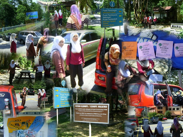 bocHa redaH Hutan - hutan gunung air terjon: hill + jungle dualthlon ...