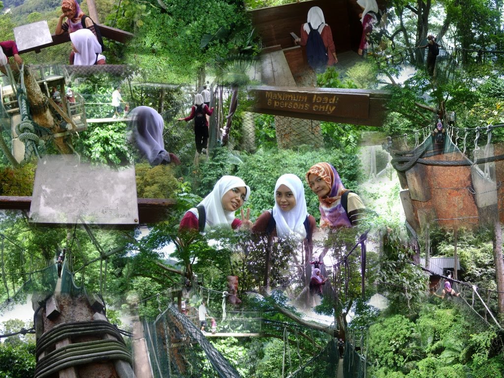 bocHa redaH Hutan - hutan gunung air terjon: hill + jungle dualthlon ...