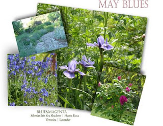 May Colors | Home Garden Companion