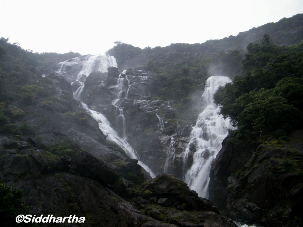 Simply Siddhartha: The Doodh Sagar Water falls