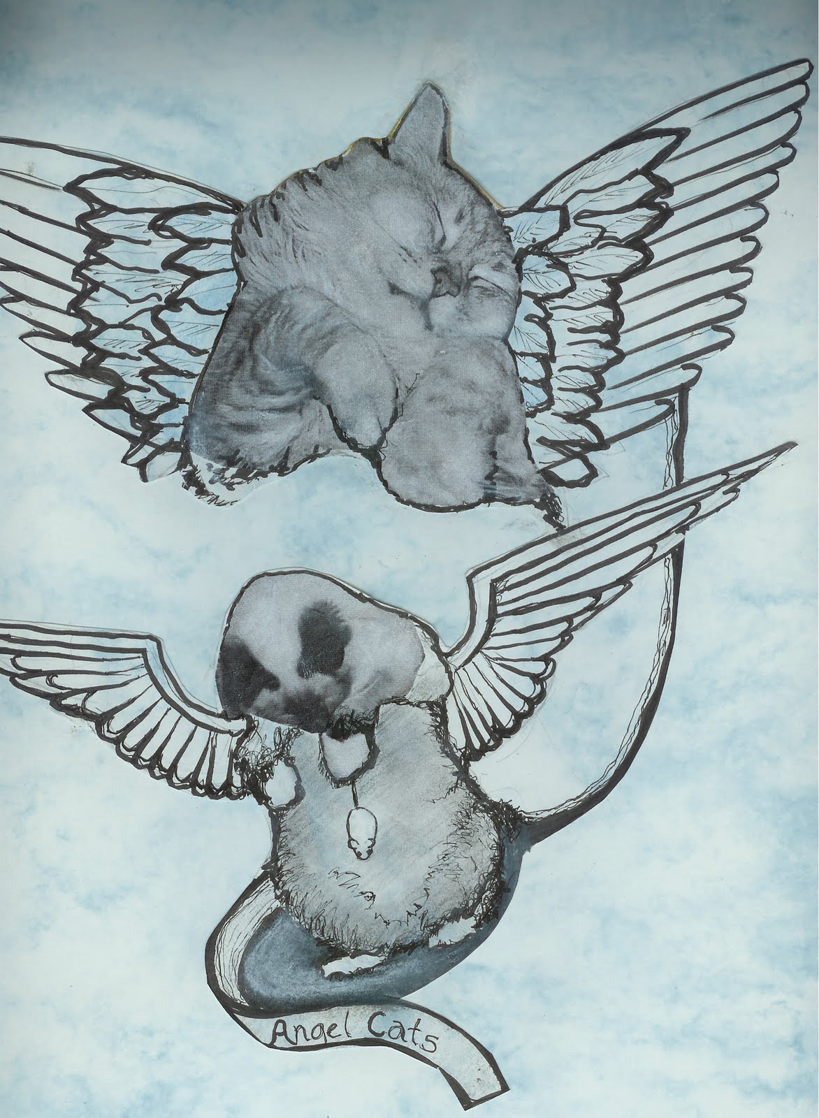 Boise Idaho Artist: Angel Cats