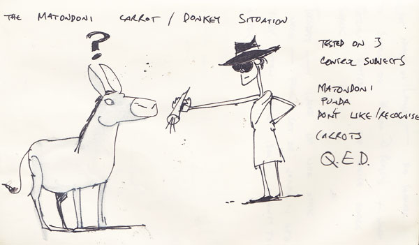 Kenya Sketchbook