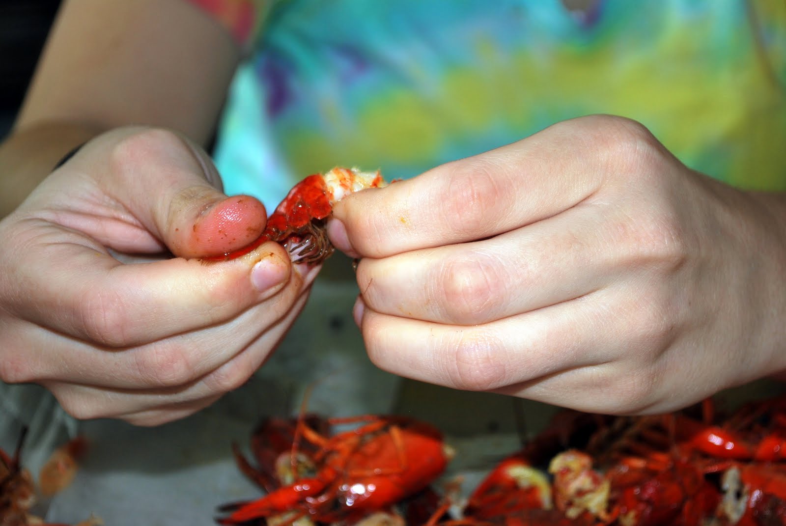 The Momshell: How to Eat a Mudbug!