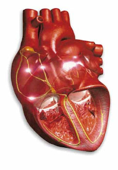 Cirurgia Cardíaca
