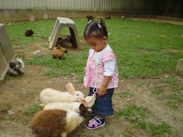 AWE-DONDE: Hukum Anak Patung Mainan Kanak-kanak AWE-DONDE: Hukum Anak Patung Mainan Kanak-kanak