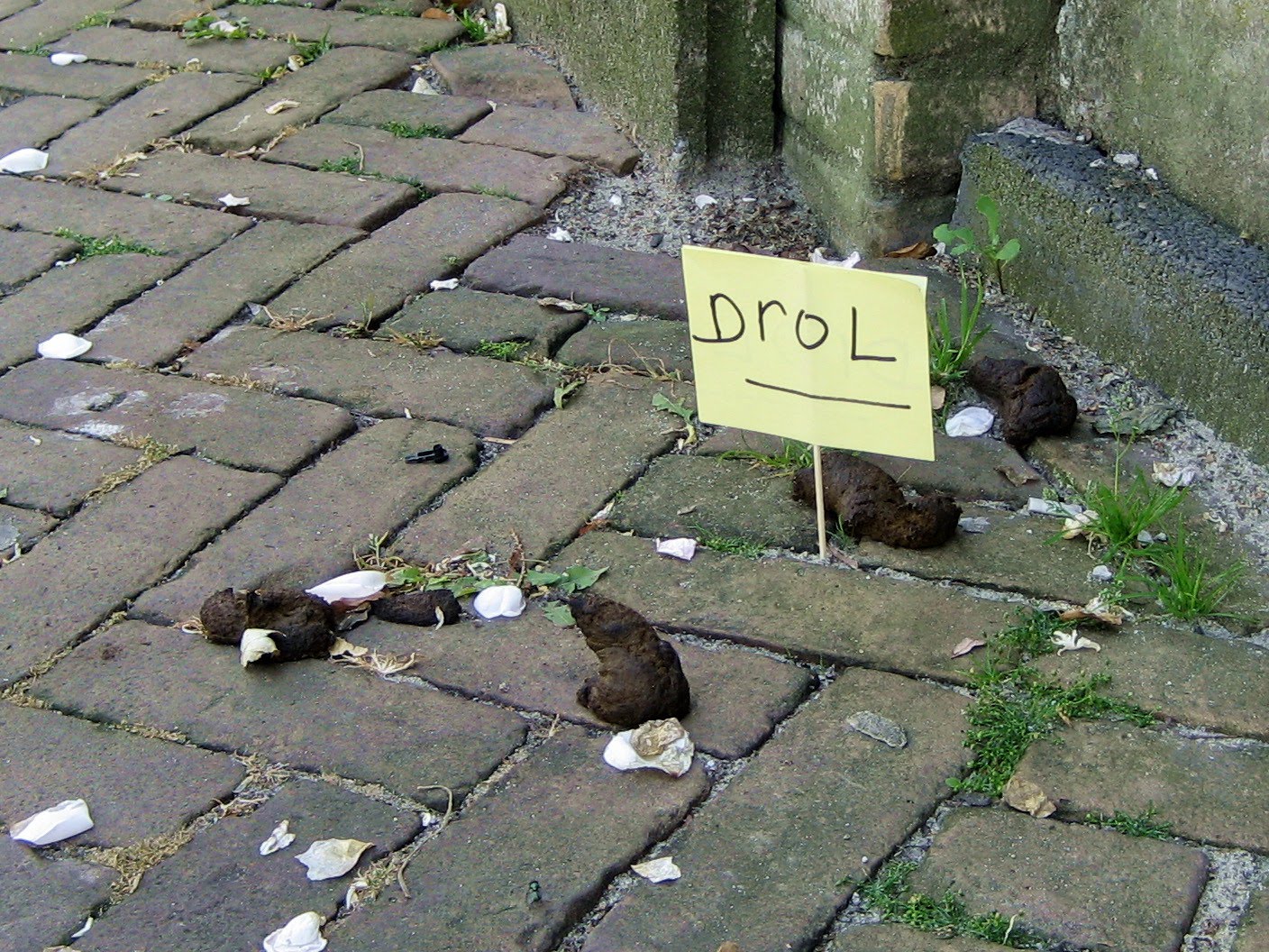 Ongehoord Digitaal Dagboek (ODD)