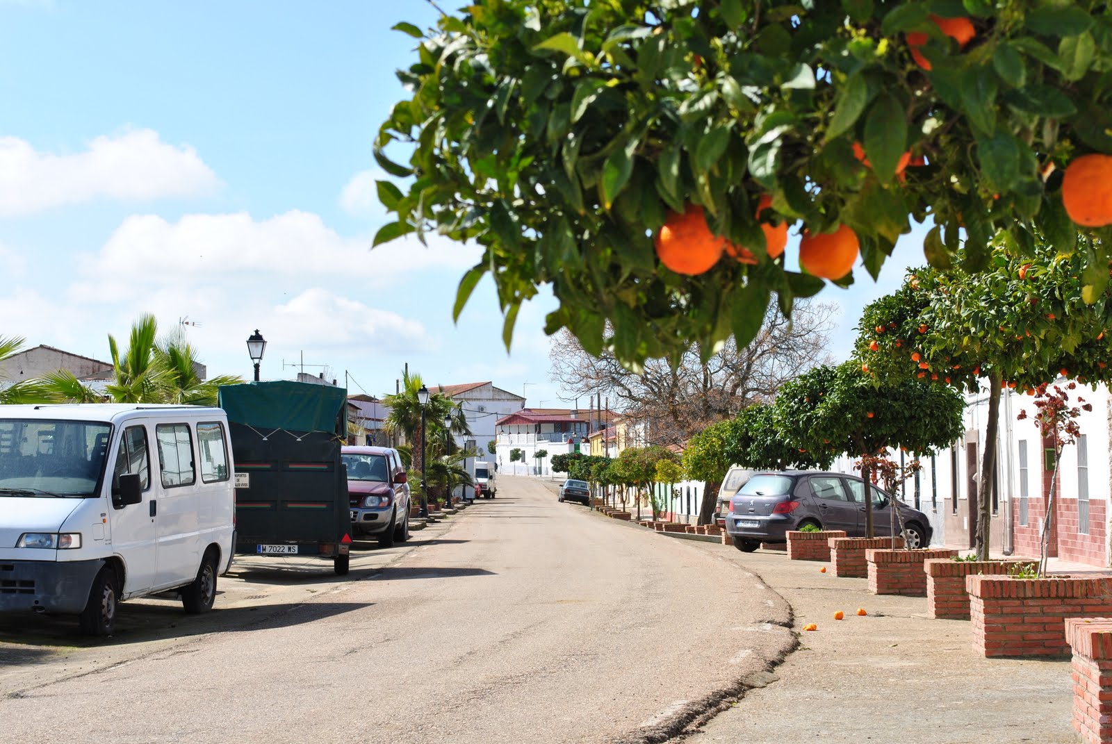 Blog de Fotos y Billetes del Mundo: Fotos de Acedera