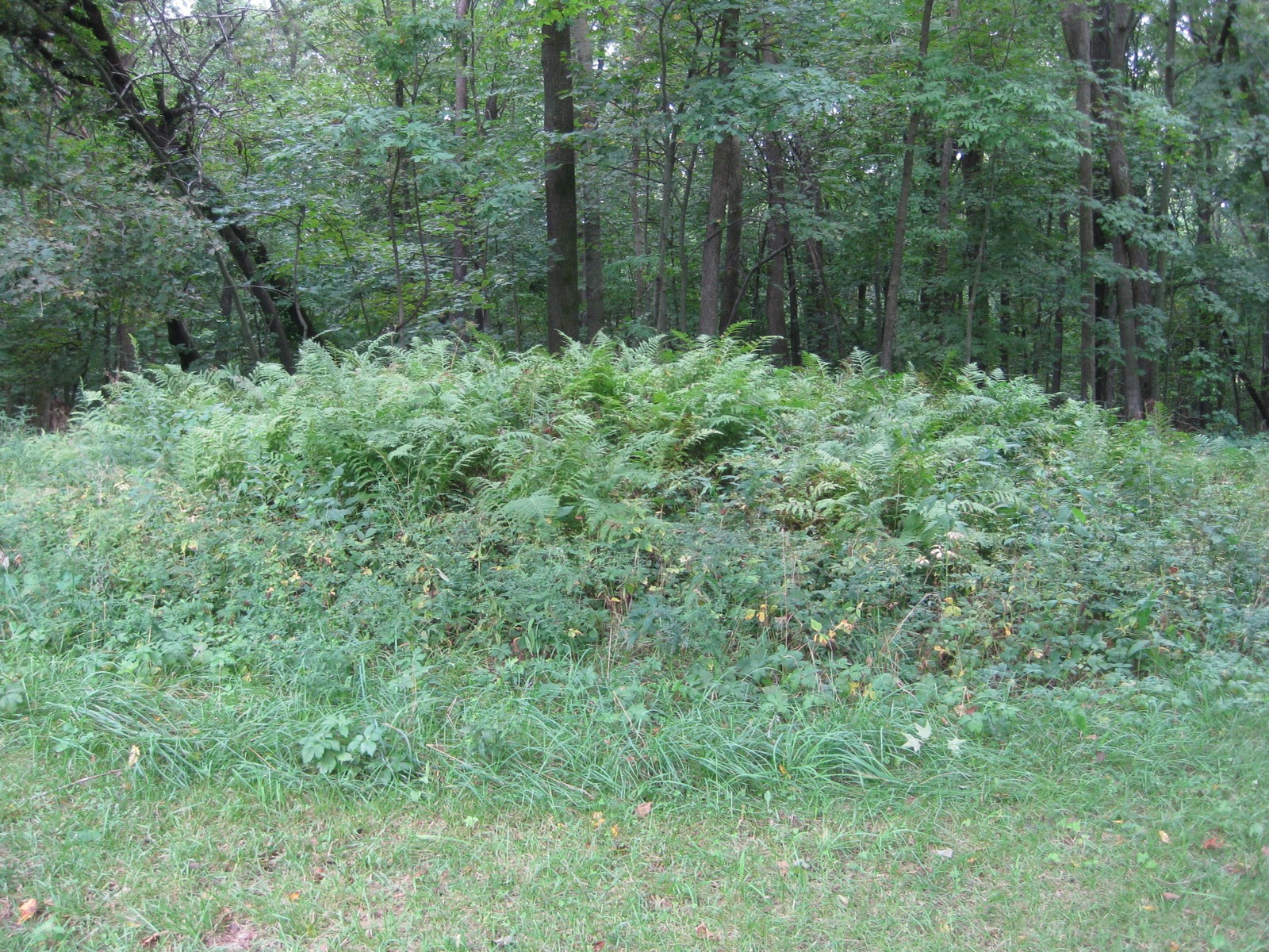 Marathon Pundit: Iowa I Opener: Effigy Mounds National Monument