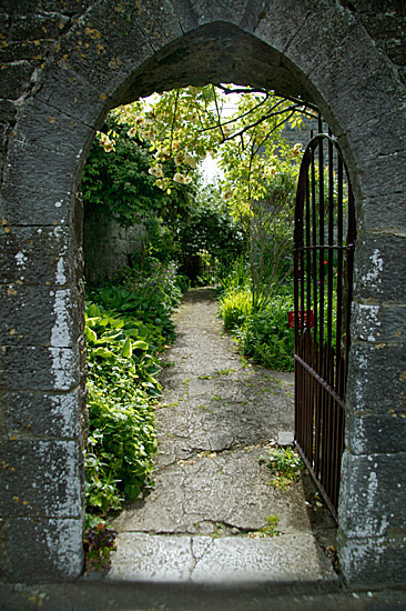 Phoenix Rising: Power of Positive Transformation: The Open Gate Beckons ...