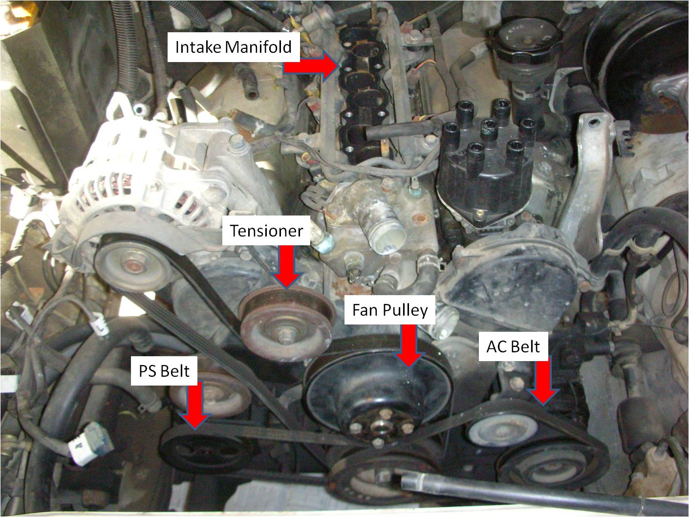 The Fit Baker: Rebuilding My Montero Engine (continued)