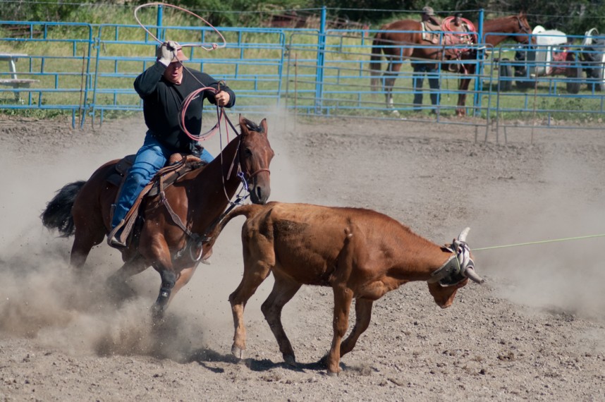 Last Mountain Photography: Kornfeld Rodeo Social, Elbow Saskatchewan