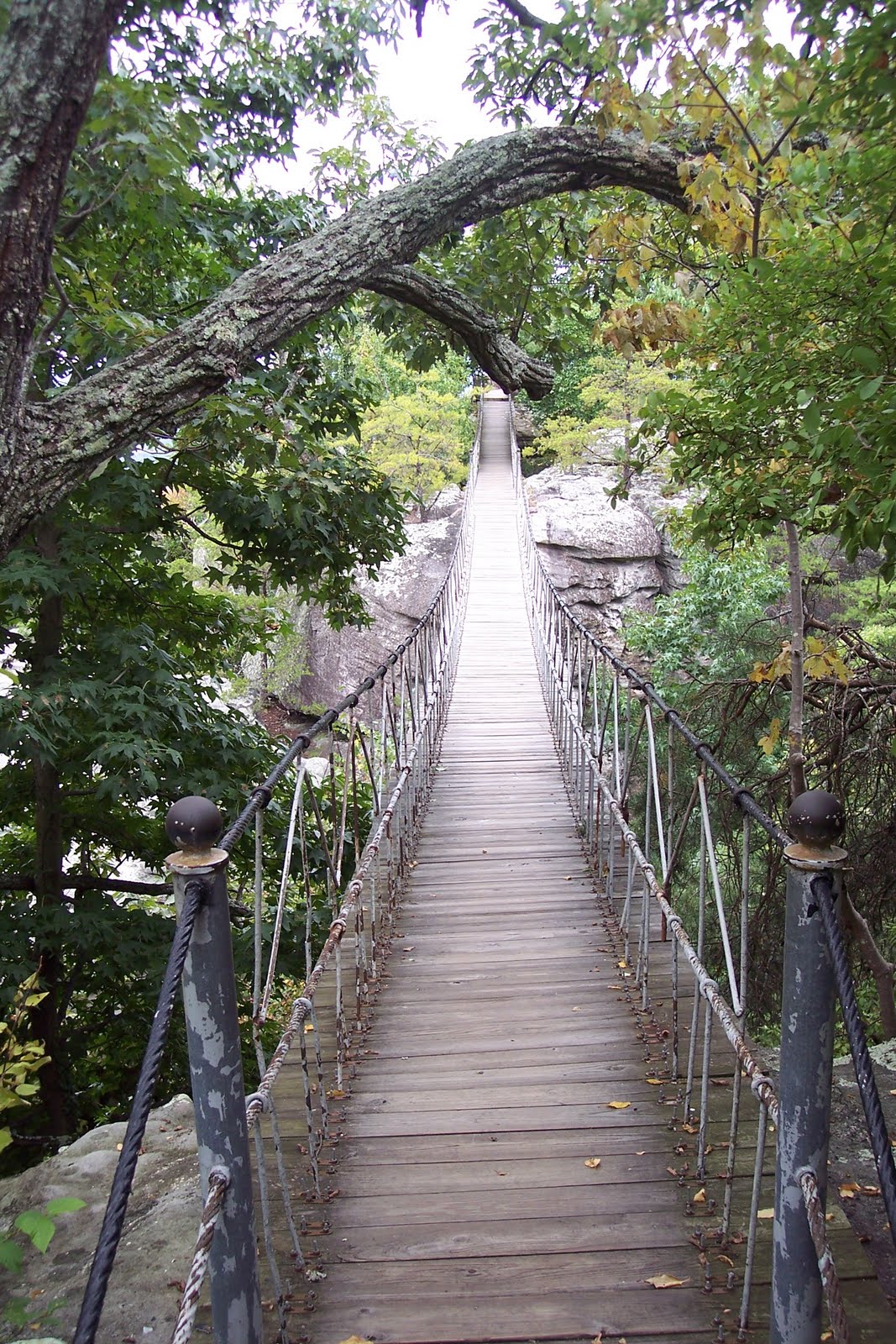 Ken Loyd's Eclectic Blog: Ken and Judy SEE ROCK CITY