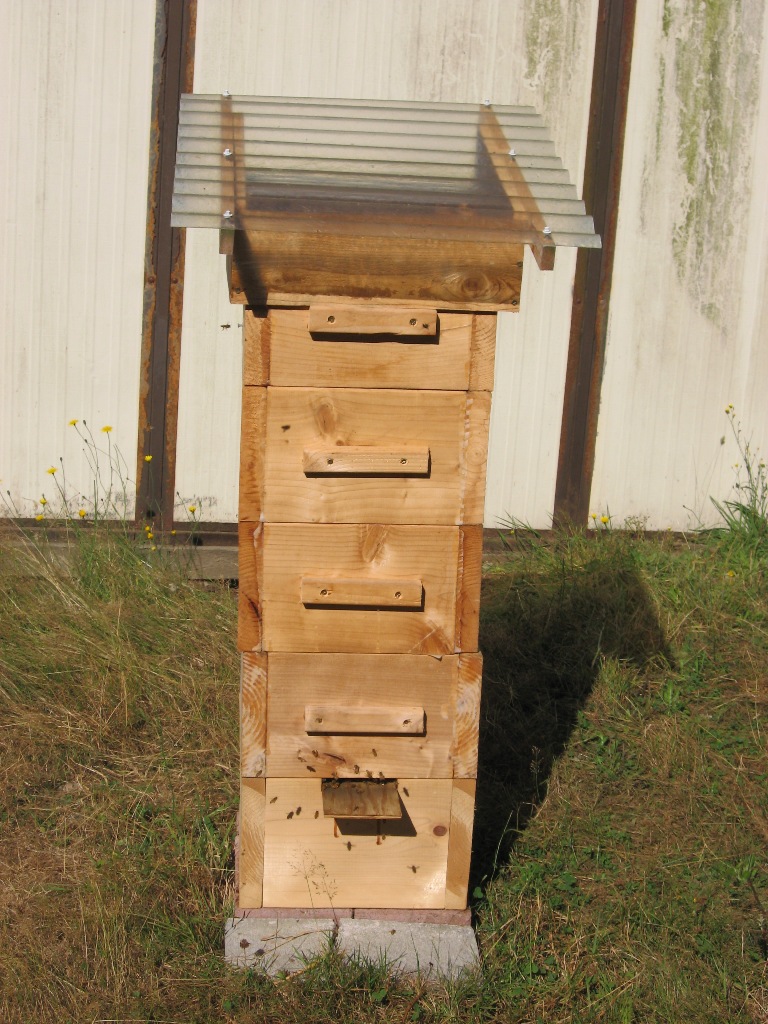 Three Lakes Farm: Beekeeping operation