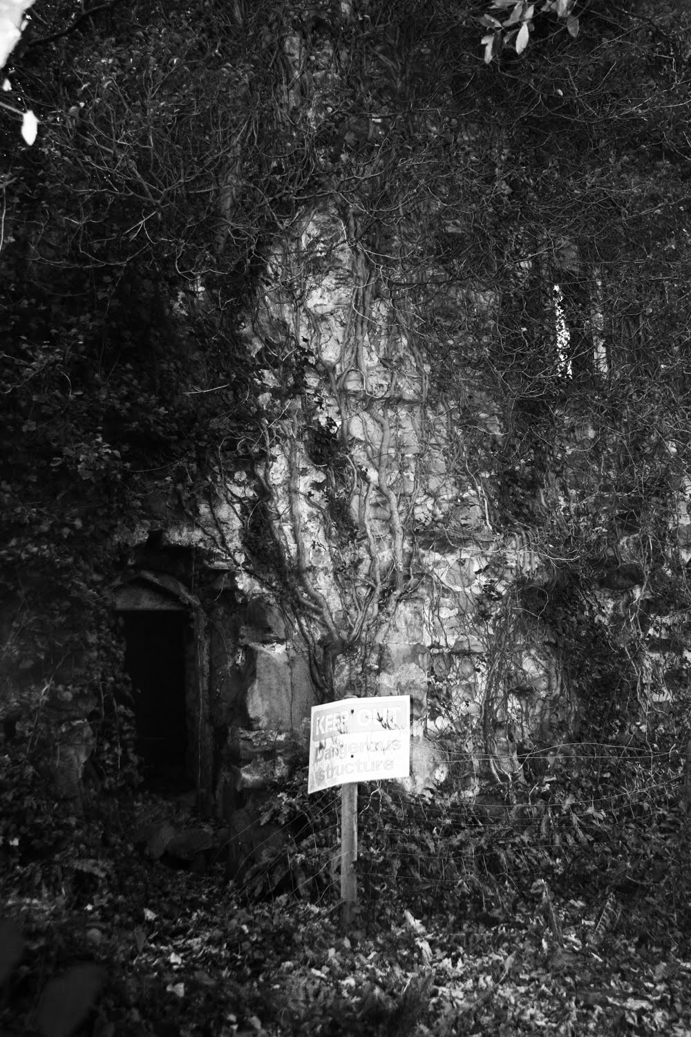 An Ostegolectric State: Strange goings on in Talacre and a giant Cyclops!