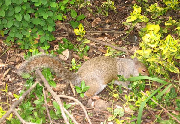 The Lost Fort: 03/08