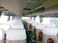 PECINTA BiS ponorogo: Po. Nusantara kedatangan Warga Baru