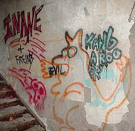 PROJECTS: Types of vandalism