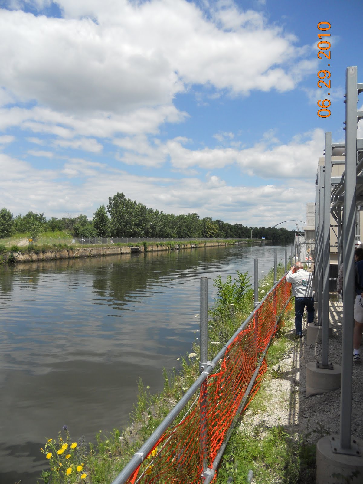 The River Rat: Rat Seeks Carp