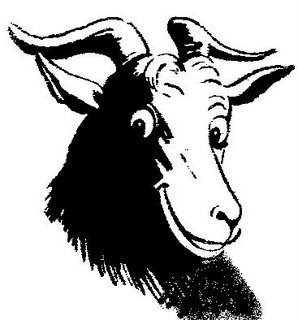 BERENJENA: EL CHIVO EN NUESTRO PAIS