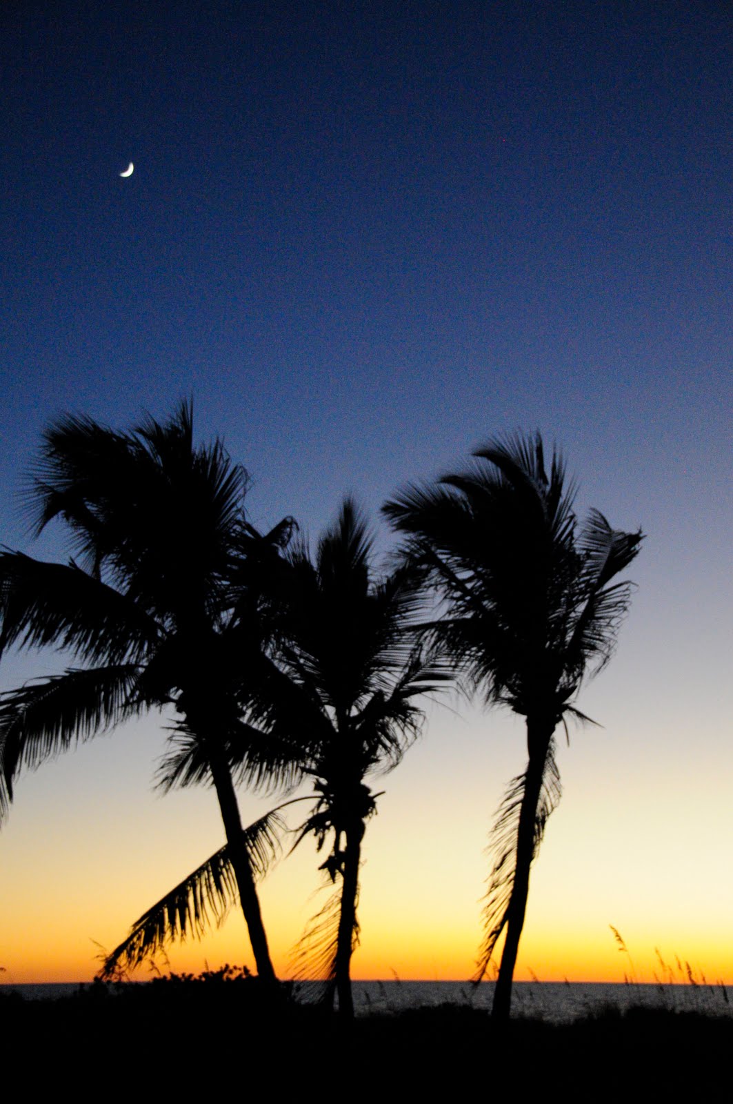 Capt. Brian's Observations On The Water: Captiva Island Sunset