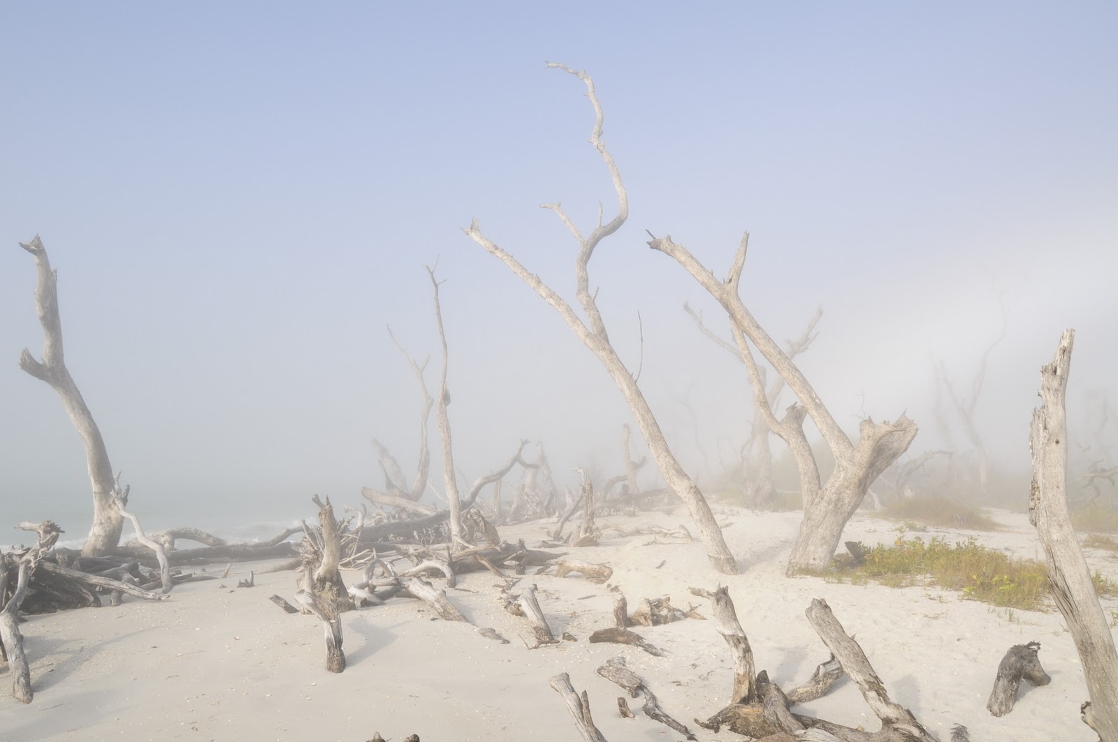 Capt. Brian's Observations On The Water: Heavy Sea Fog