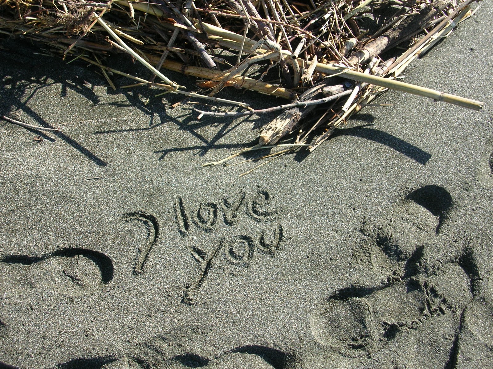 Caracteristica: Mi playa