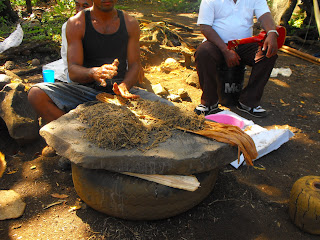 Pohnpei: Sakau en Pohnpei