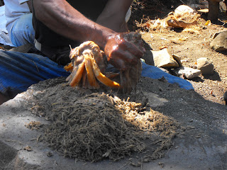 Pohnpei: Sakau en Pohnpei
