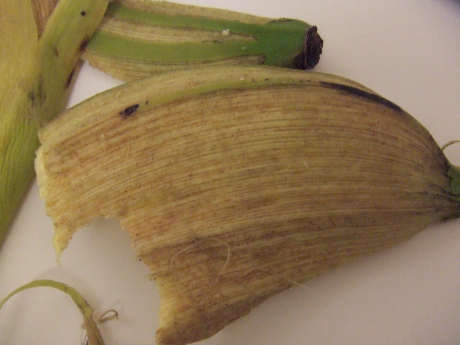 Tasty Tidbits, Creative Crafts, and Merry Makings: Plantains vs Bananas