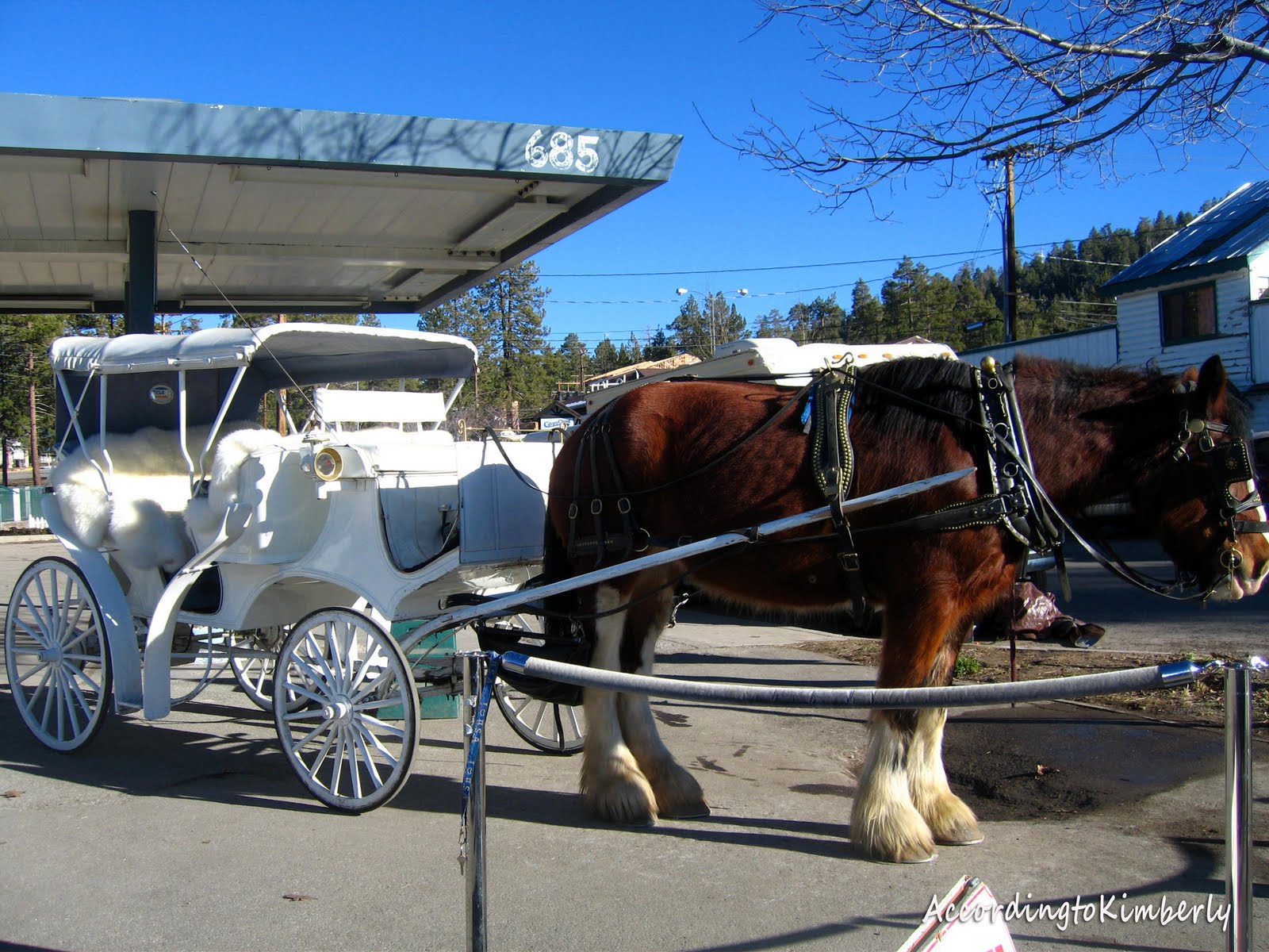 According To Kimberly... // An Orange County Life + Style Blog : Big ...